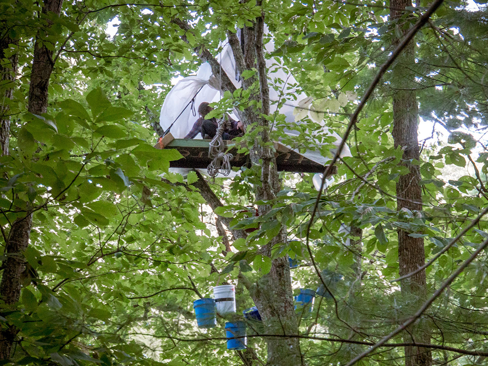 Judge finds MVP tree sitters in contempt; sheriff promises enforcement ...