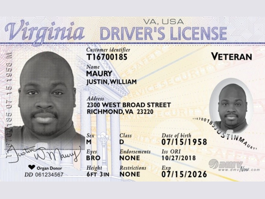 Blank Virginia Drivers License Template