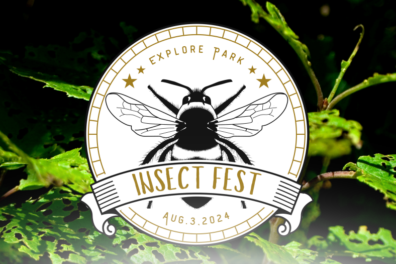 Insect Fest crawls to Explore Park this Saturday | News/Talk 960-AM ...