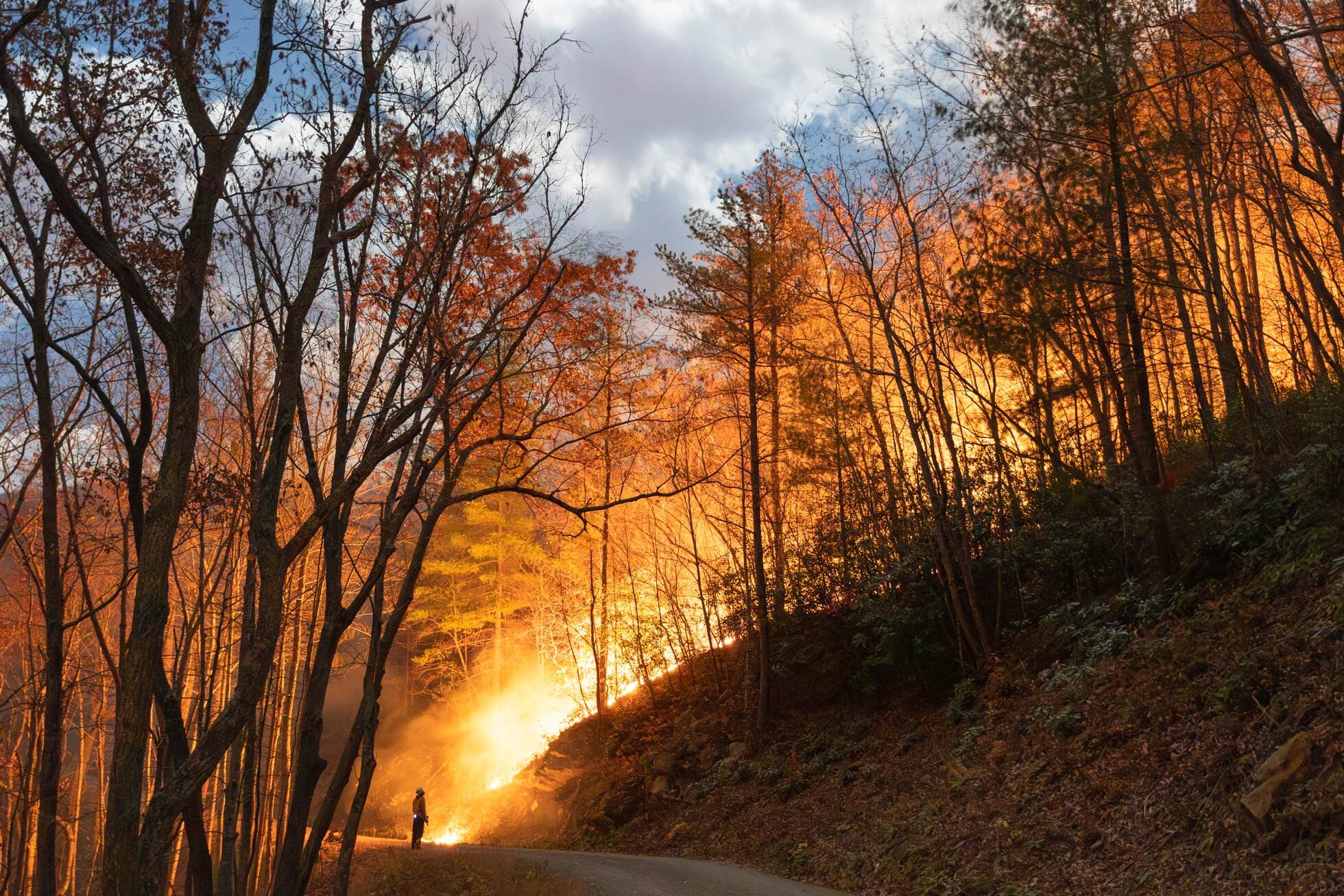 Forester shares outlook as Botetourt County wildfires move toward ...