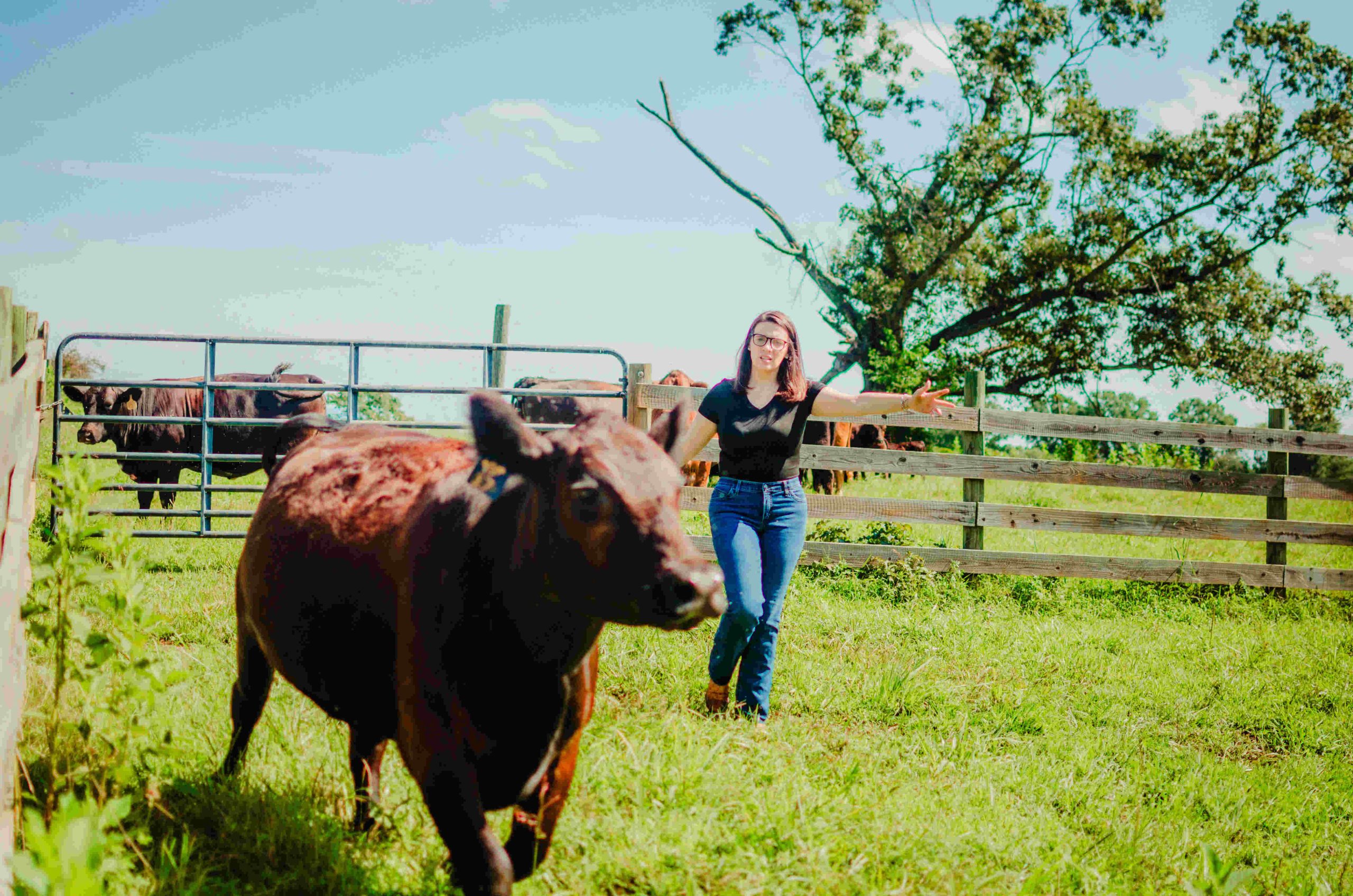 Joy Powers launches bid to challenge Rep. Morgan Griffith in Virginia’s 9th District | News/Talk ...